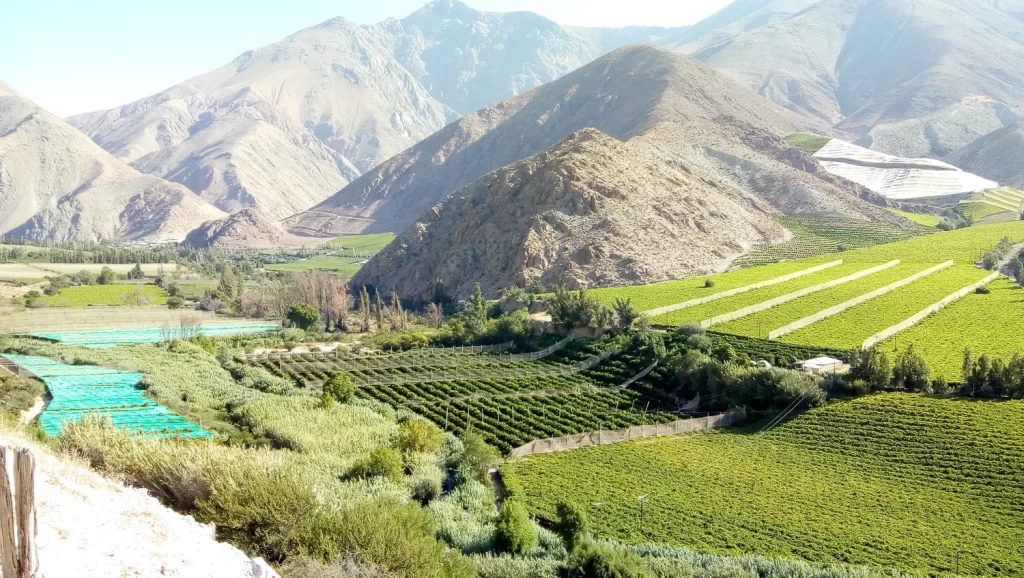 Tour Valle del Elqui - Akana Tours